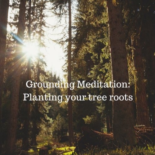 Stream Grounding Meditation: Planting Your Tree Roots by Charlene ...