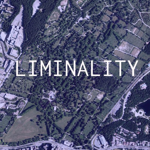 Stream Liminality- Interview by Sofia Munera | Listen online for free on SoundCloud