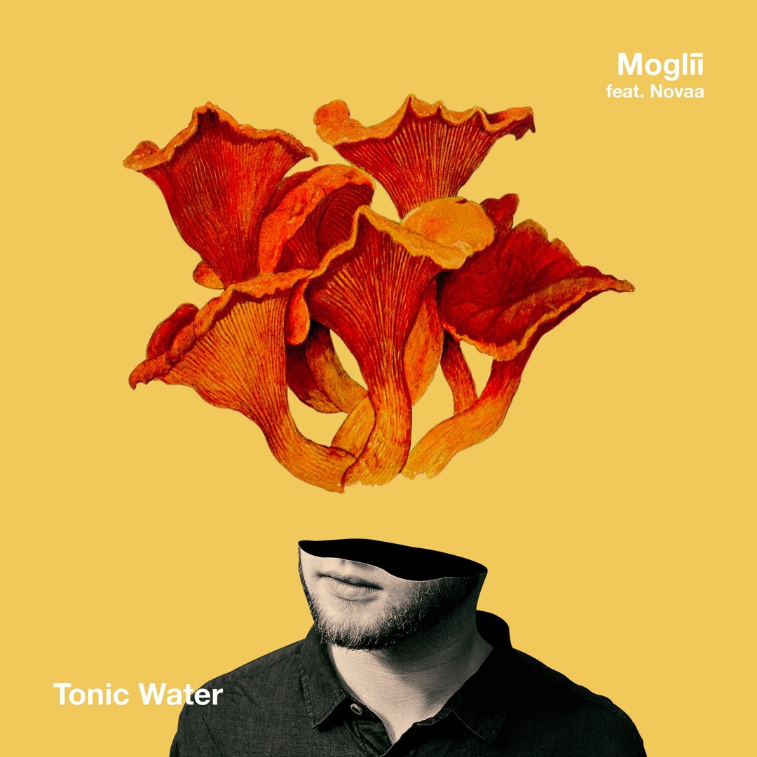 Stream Moglii - Toniic Water (feat. Novaa) by Moglii | Listen online ...
