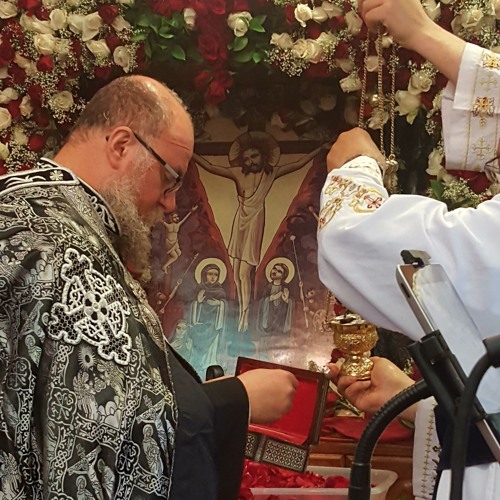 Stream David Labib 2 | Listen to Good Friday Live Archdiocese 2013 - Fr ...