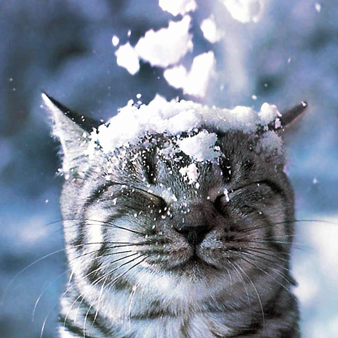 Stream Andrew Rayel & Digital X Feat. Sylvia Tosun - Winterburn (Arctic ...