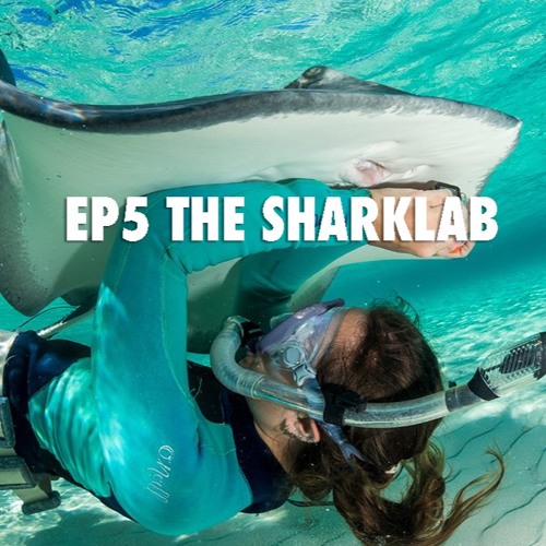 Stream episode EP5 The Sharklab by Shark Podcast podcast | Listen ...