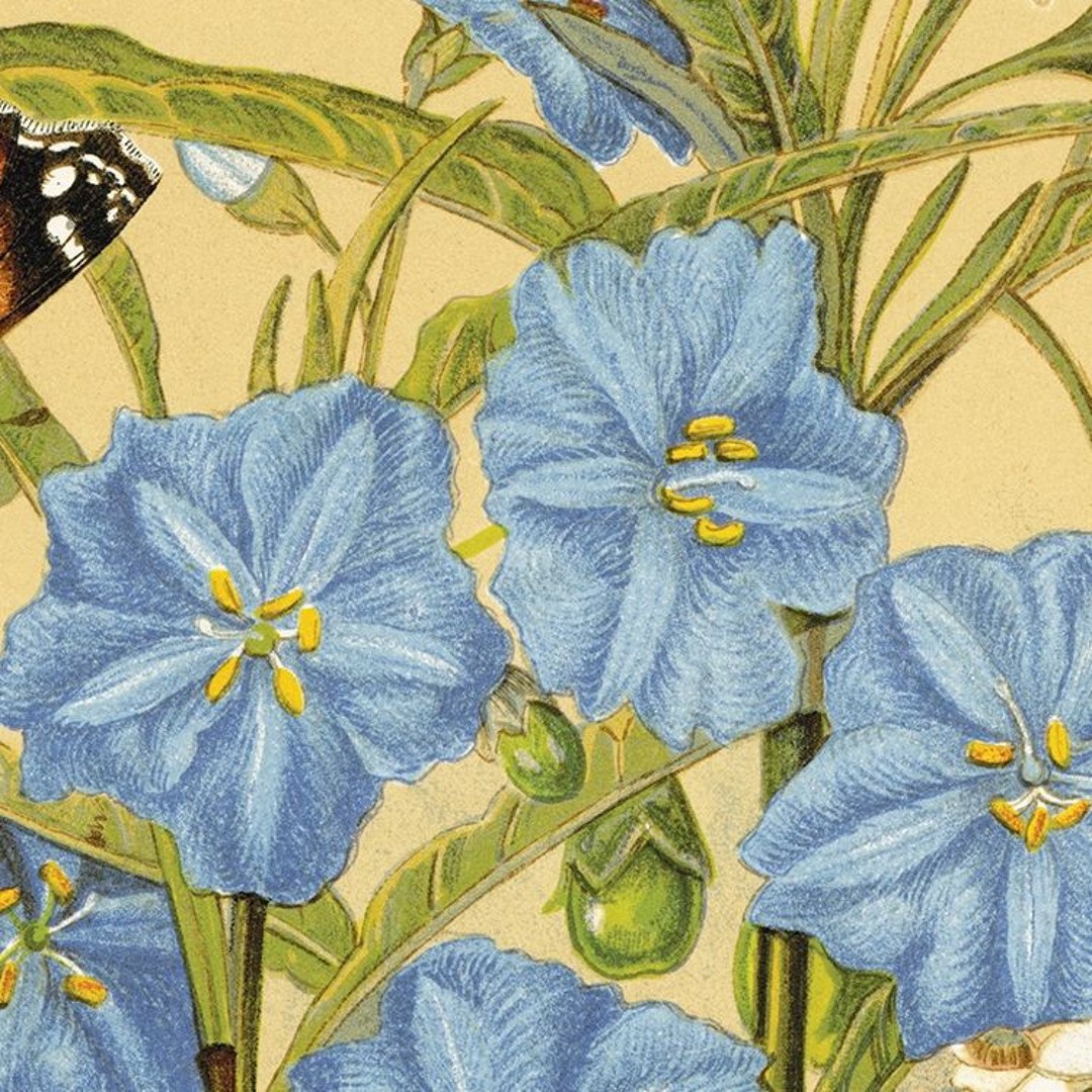 Stream episode Interview with Bill Beach for the Fryer 90th anniversary ...