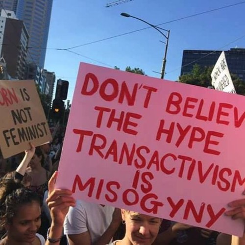 Stream Edition #12: Gender Identity Politics & Anti-Feminist Activism ...