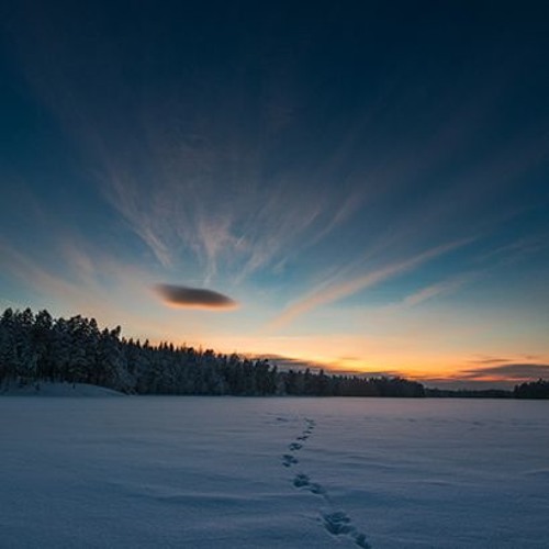 Stream Call Of The North - Introduction by PROPAGANDALF | Listen online ...