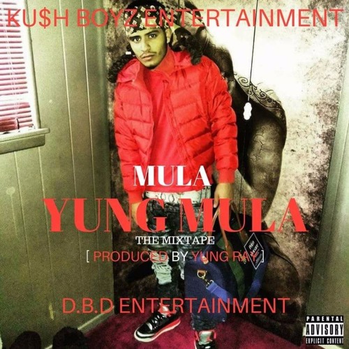 Stream Fortune - Mula - Yung Mula The Mixtape by LilGoat | Listen ...