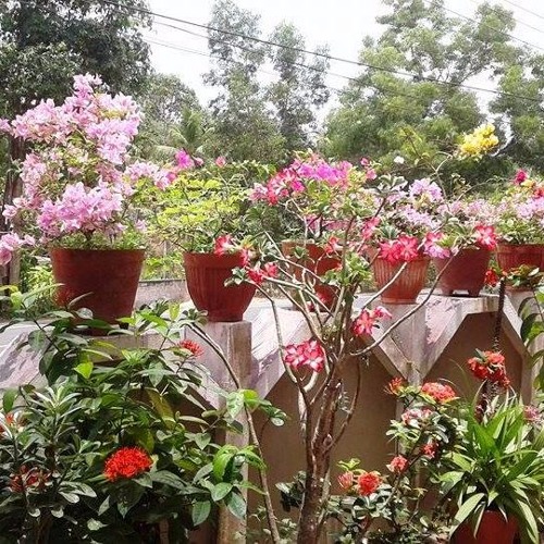 Stream Veendeduppin Ganangal (Persis John) by Children of AMEN | Listen ...