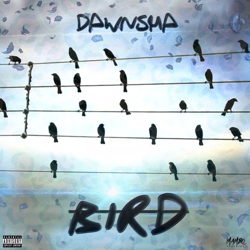Stream Bird (Prod. by Bricc Flair) by Dawnsha | Listen online for free ...