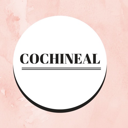 Stream Elevator Y2K (prod. Steve Dreez) by Cochineal | Listen online ...