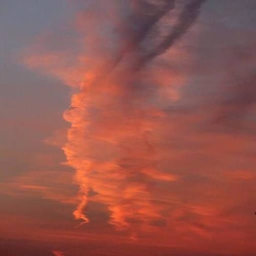 Stream Hippocrate - Rolling Melon by Hippocrate | Listen online for ...