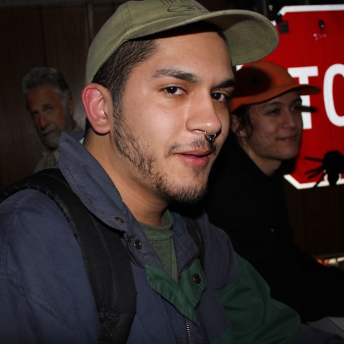 Stream Ode to Viceroy (ugly cover) by Megan Lillian Molinaro | Listen ...