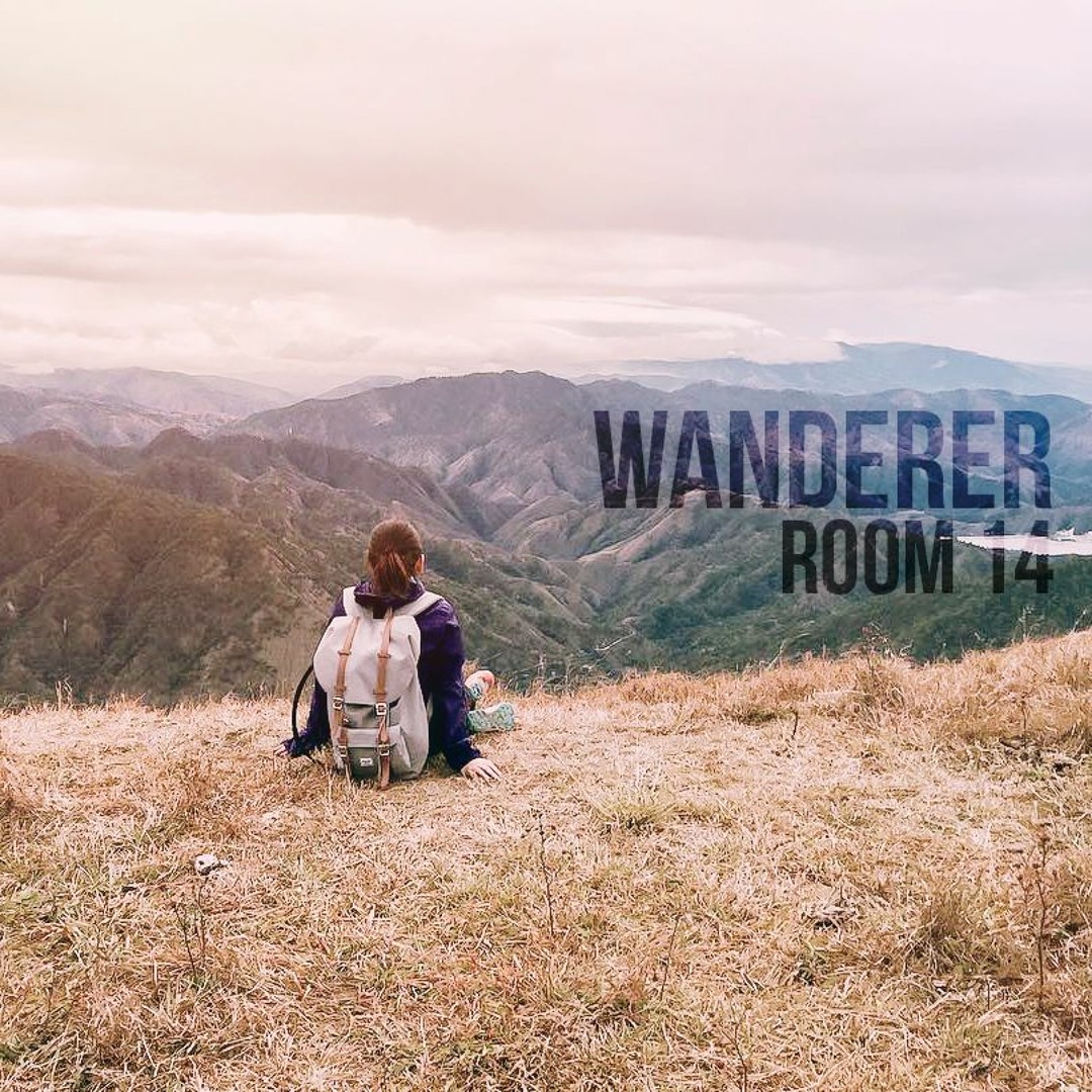 Stream Wanderer by Room 14 | Listen online for free on SoundCloud