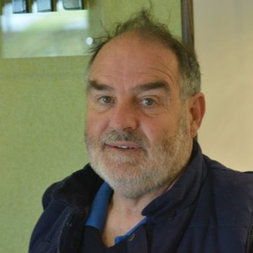 Stream Dog Warden Frankie Coote by Clare FM | Listen online for free on ...