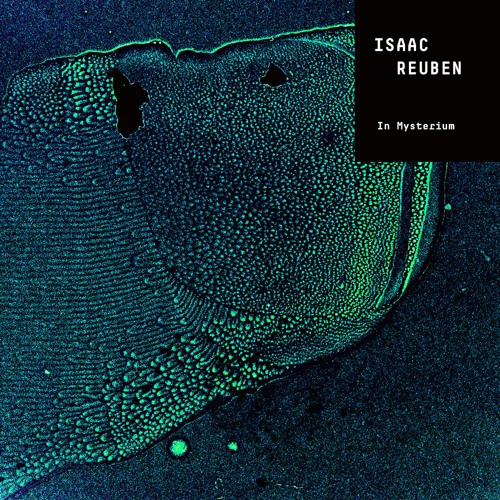 Stream A1 Isaac Reuben - untitledPEWA (Snippet) by Rhythm Nation ...