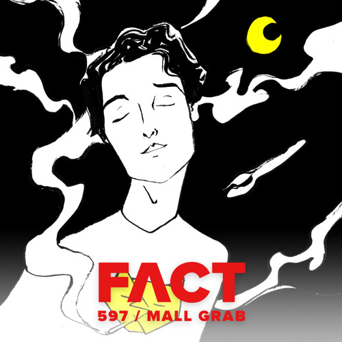 Stream FACT mix 597 - Mall Grab (Apr '17) by 180.Fact | Listen online ...