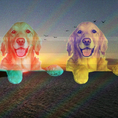 Stream Two Dogs Singing Together, Recorded by LinkedIn Park | Listen ...