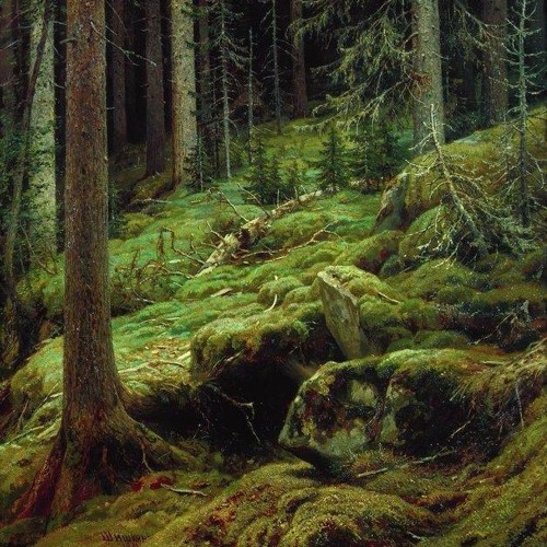 Stream Lost in the Forest by Aleksander Vinter | Listen online for free ...