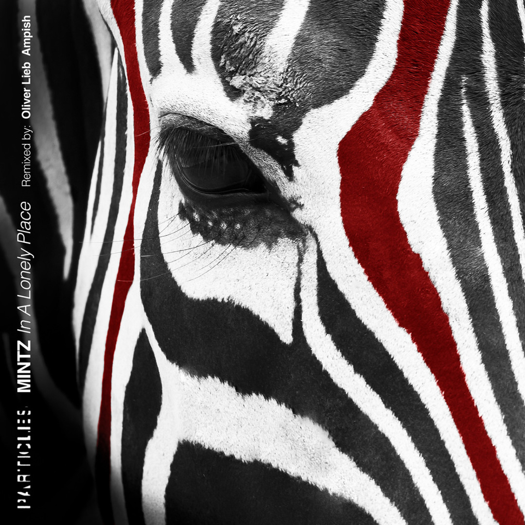 Stream MINTZ - In a Lonely Place (Oliver Lieb Remix) by Particles ...