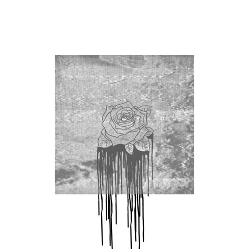 Stream Chase Hadden - I'm Sorry by Rootnote Collective | Listen online ...