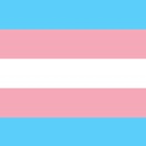 Stream Steve Walker | Listen to Sonic Portraits: Trans & Non-Binary ...