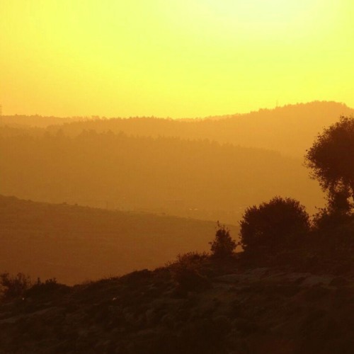 Stream Diaa's Prayer and Para Mi Gente, For my Peeps in Gaza by Mahina ...