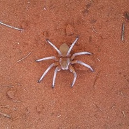 Stream The Repentagram by Nick Dagan Best | Listen online for free on ...