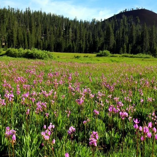 Stream Elliott Grabill | Listen to Sir Microtonal playlist online for ...