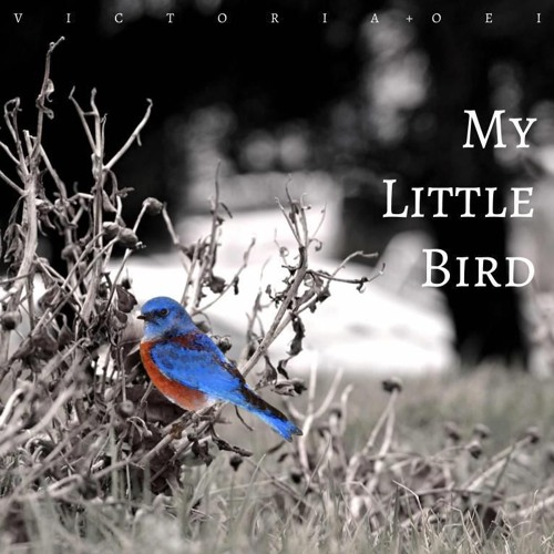 Stream "My Little Bird" by Victoria, Grade 8, in New York by Ryan Bagg ...