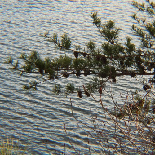 Stream My floor is cluttered [practice] by Botany | Listen online for ...