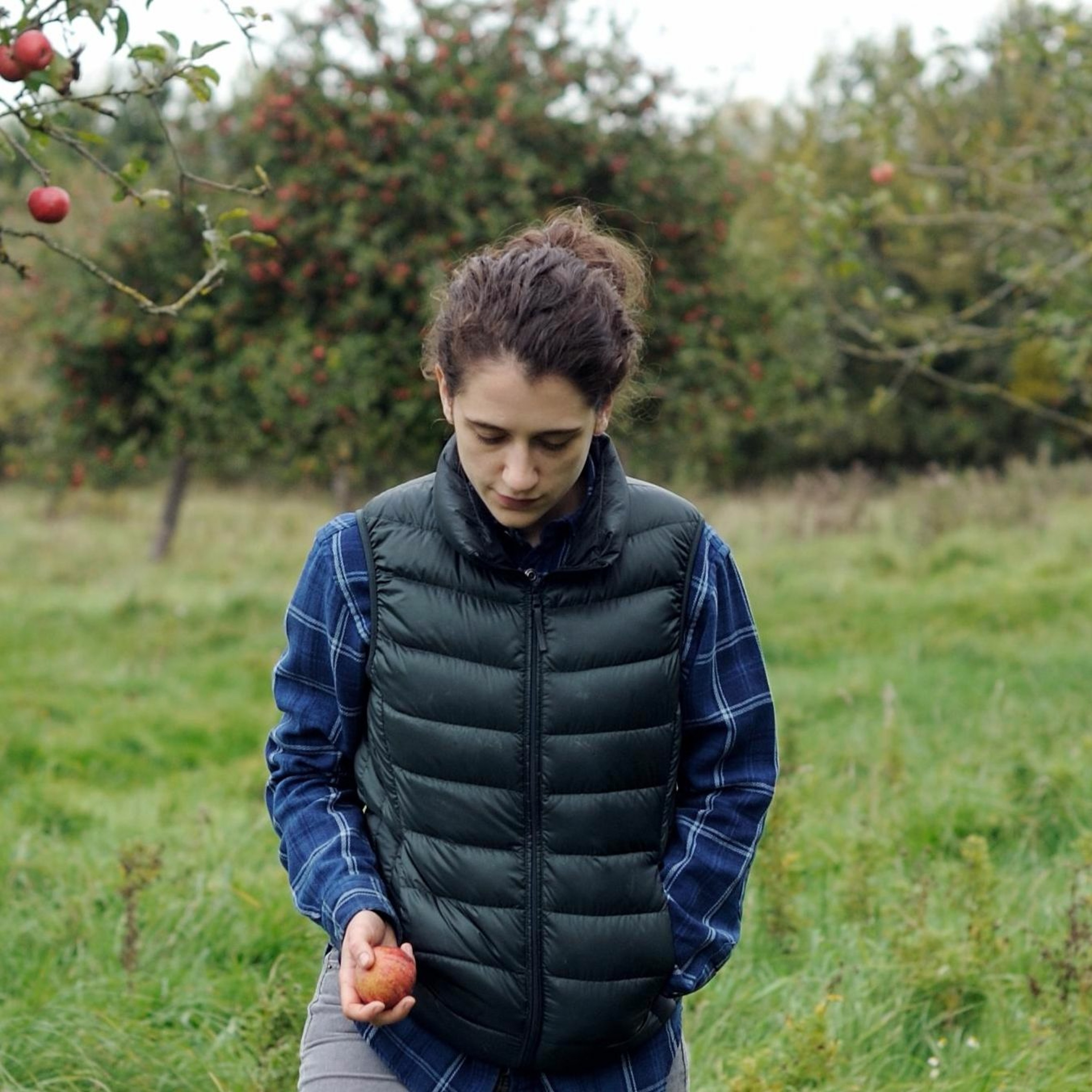 Picturehouse at FACT Podcast - The Levelling - Interview with Hope ...