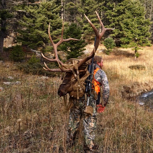 Episode 38: High pressure Bull Elk with Pat Noack by Eastmans Elevated ...