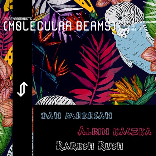 Stream Albin Kaczka, Raresh Rush, Dan Medesan live @ Molecular Beams by ...