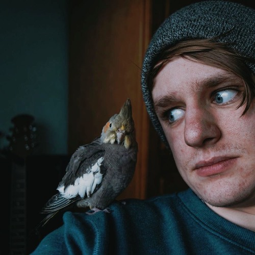 Stream Nick Dyson | Listen to Showcase playlist online for free on ...