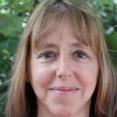 Stream 170517 Speaking Truth To Empire Medea Benjamin by speaking-truth ...