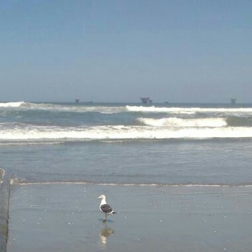 Stream Parte del mundo- La Sirenita Ariel, Nin y Flander by Ros Anna ...