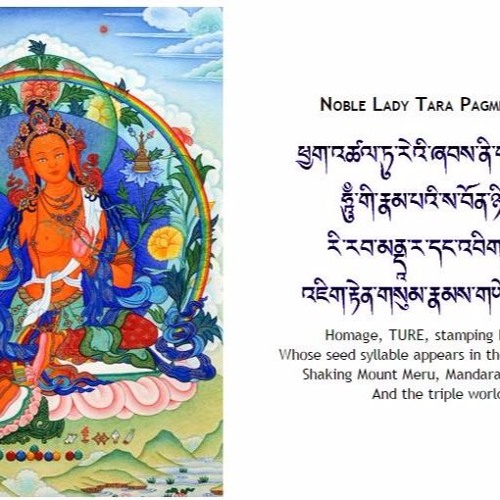 Stream Sangay Needup | Listen to Buddhist prayers playlist online for ...