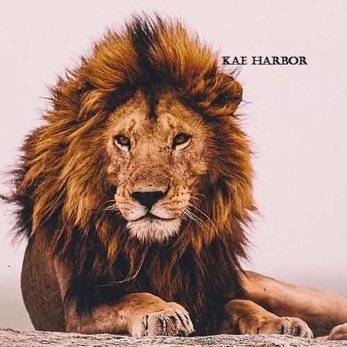 Stream The Harbor Project · LION by The Harbor Project | Listen online ...