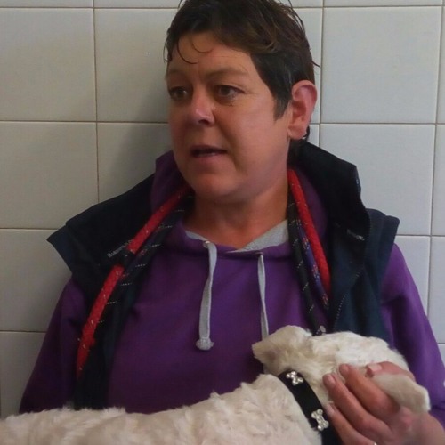Stream Susie James Interview on Adopting Older Dogs by CARDIFF NEWS ...