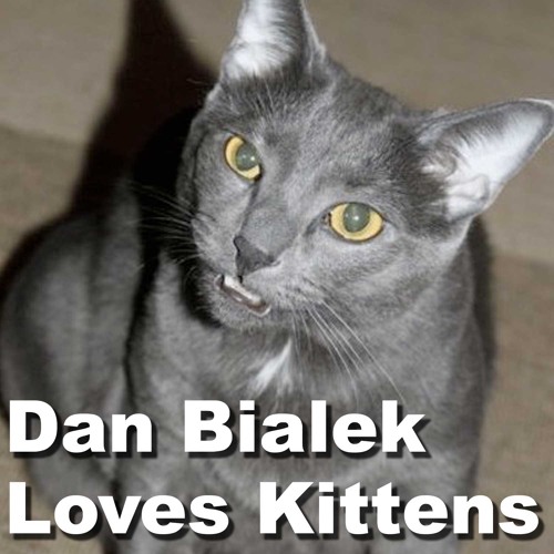 Stream episode The Dan Bialek Loves Kittens Podcast - Ep. 4 by Premium ...