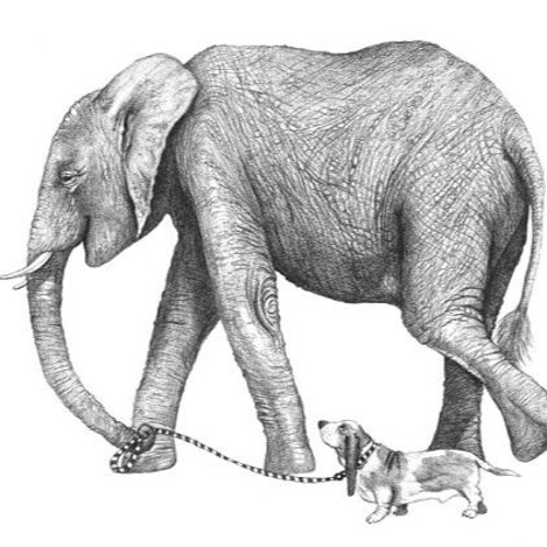 Stream Elliphant - Spoon Me Ft. Skrillex (Both Face Remix) by ForDeD ...