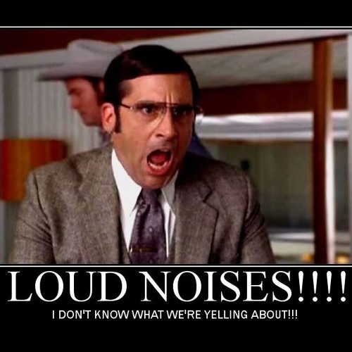 Loud Noise Memes 3 Major Mistakes Cat Owners Must Avoid