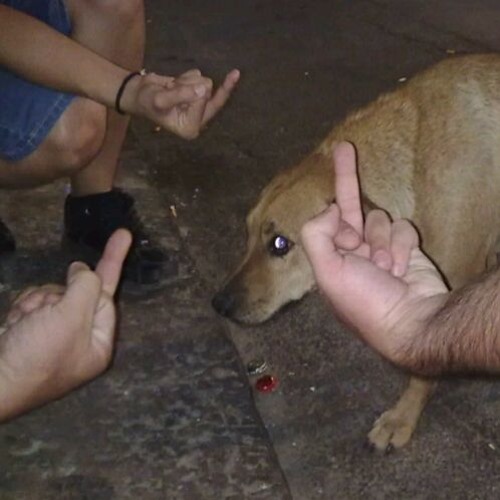 Stream S.O.F.I. WIP 2 by Flatter | Listen online for free on SoundCloud