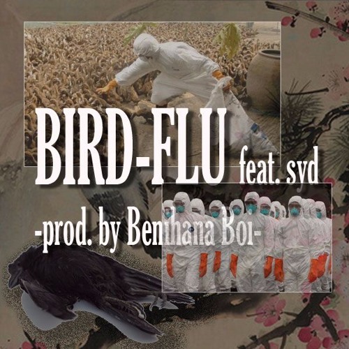 Stream bird-flu feat. syd (prod. Benihana Boi) by forgetful. | Listen ...