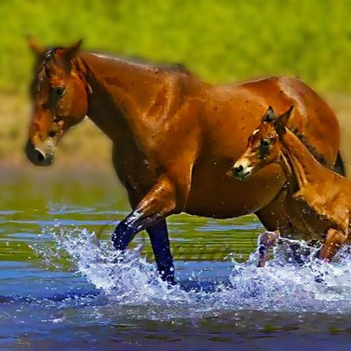 Stream Daniel Manahan | Listen to Film Score Demo Top 20 CD 1 playlist ...