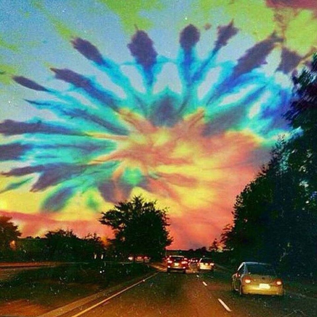 Stream living in euphoria by funky bunky | Listen online for free on ...