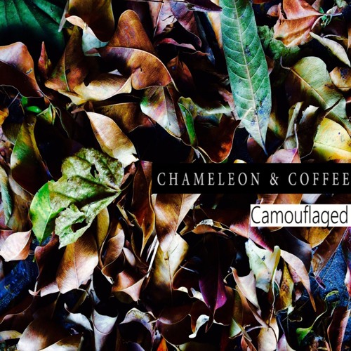 Stream 4- Ice Cream by Chameleon & Coffee | Listen online for free on ...