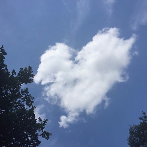 Stream Alison Sykes | Listen to Retreat playlist online for free on ...