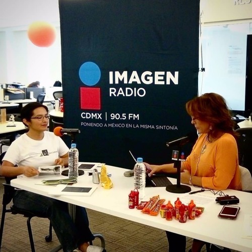 Stream Entrevista en ¡Qué tal Fernanda! de Imagen Radio by Buró ...