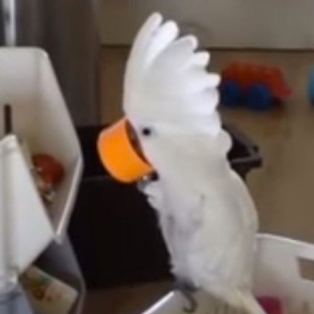 Stream Kinetic WIP by Flatter | Listen online for free on SoundCloud