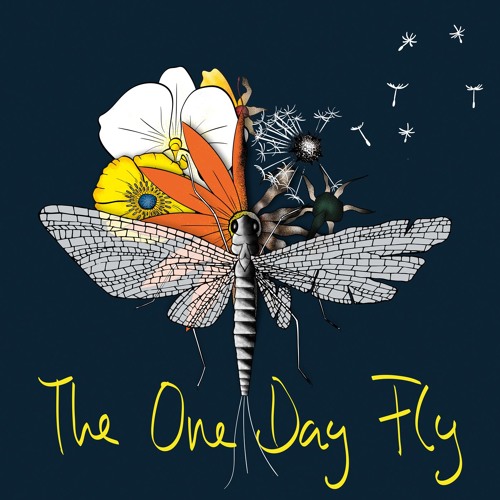 Stream The One Day Fly - Shorty by The One Day Fly | Listen online for ...